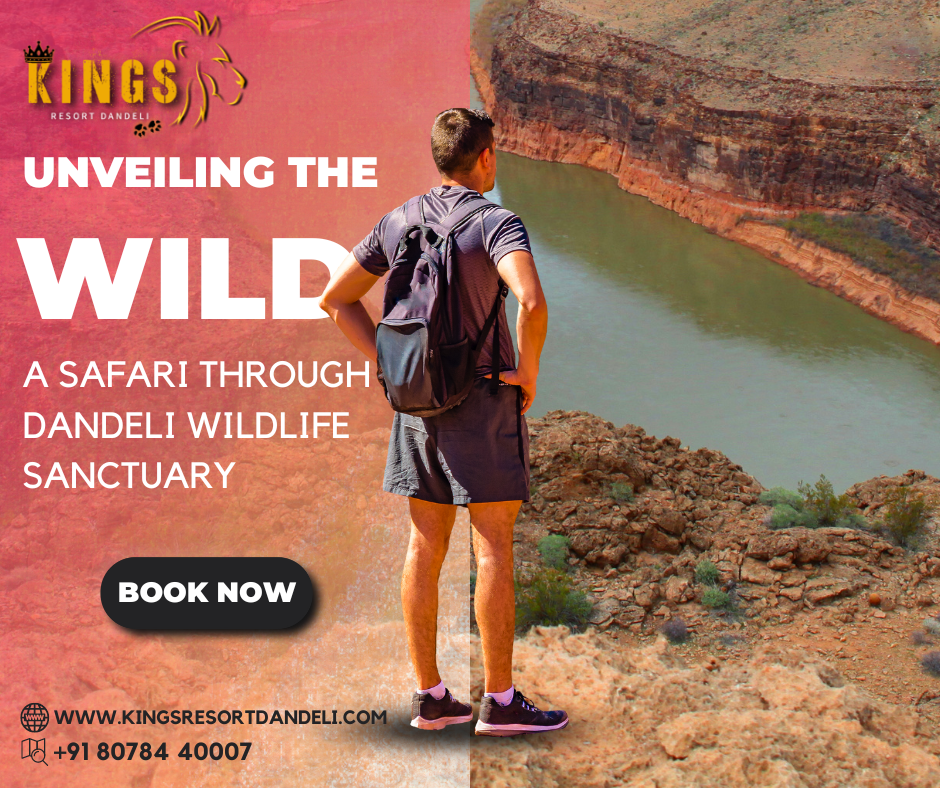 Best Time To Visit Dandeli | Dandeli Resort | Best Dandeli Jungle ...