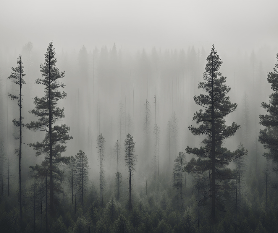 I Need This Gray Day To Mourn. Moving through grief | by Evolving ...