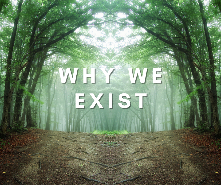 3. Why We’re Really Here: The Science and Spirit of Human Experience ...