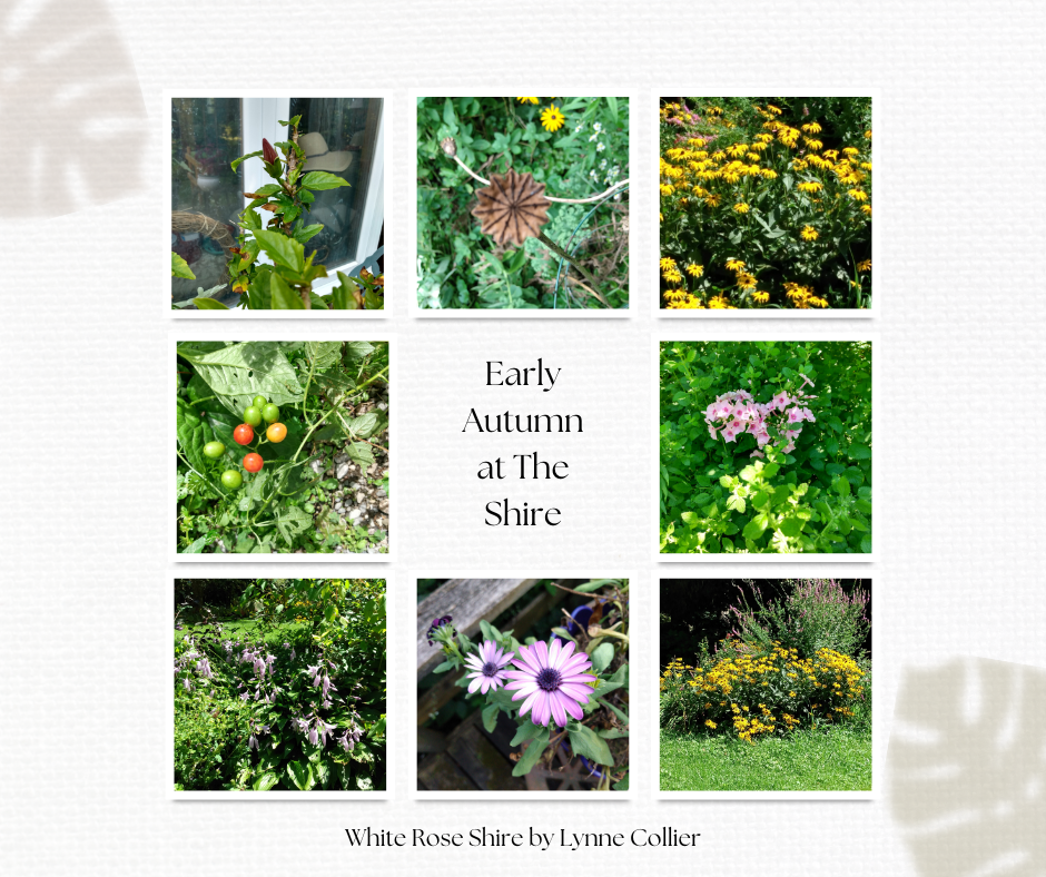 Early Autumn at White Rose Shire. A walkabout in the gardens in ...
