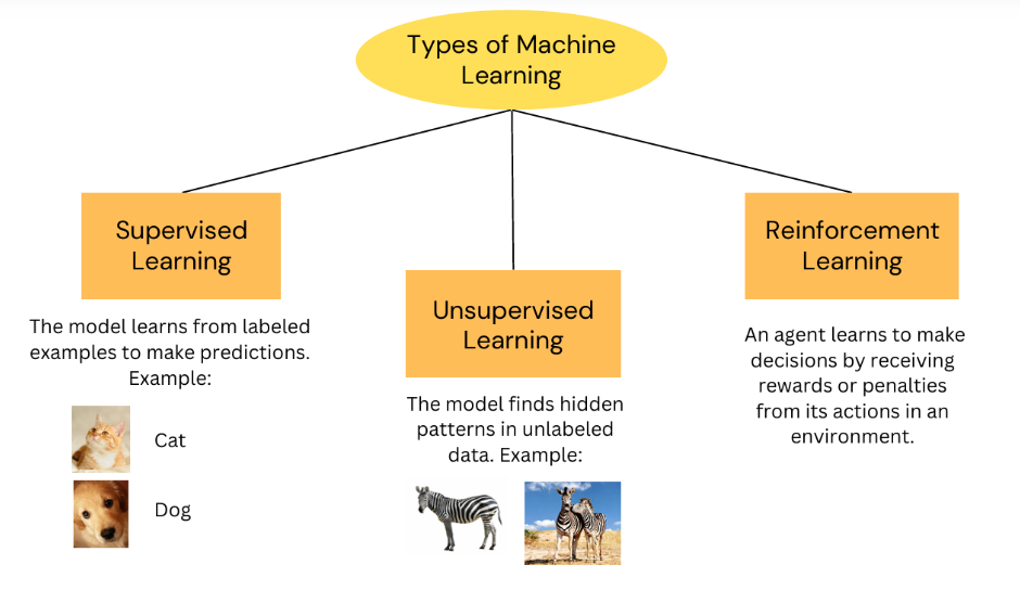 Episode 1 — What really is Machine Learning? | by ghost_proxy | Mar ...