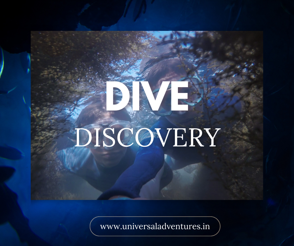 Scuba Diving in Goa: Goa’s Underwater World | by Pandeypooja | Jan ...