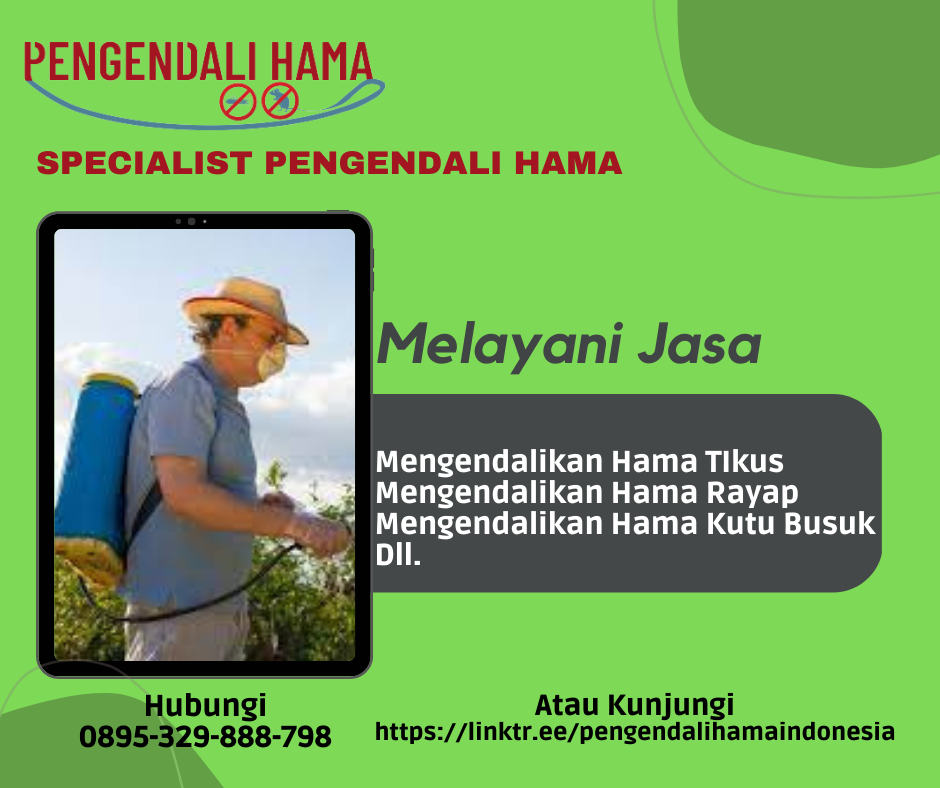 Specialist Pengendali Hama - Jasapengendalihama - Medium