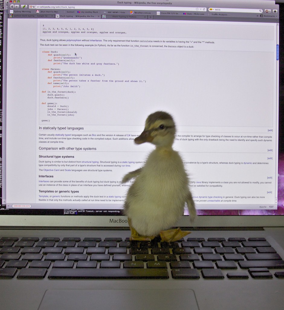 Why Modern Languages Prefer Interfaces Over Inheritance: Understanding Duck Typing | by Md. Fuad ...