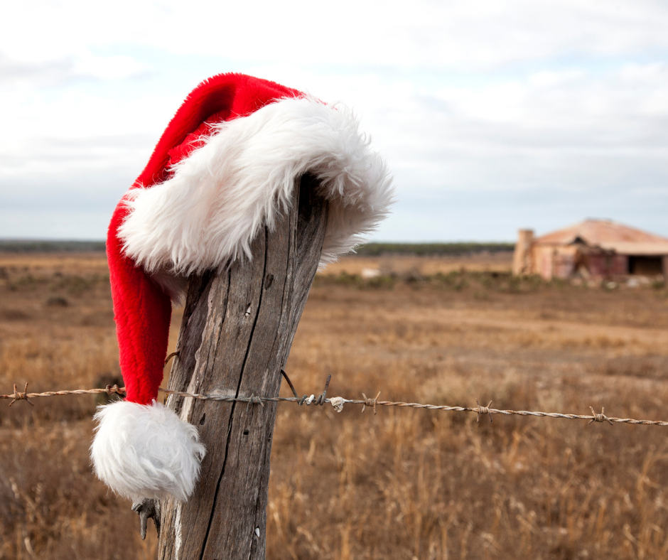 How to Grieve During COVID Christmas | by Amanda Spiller | Growing ...