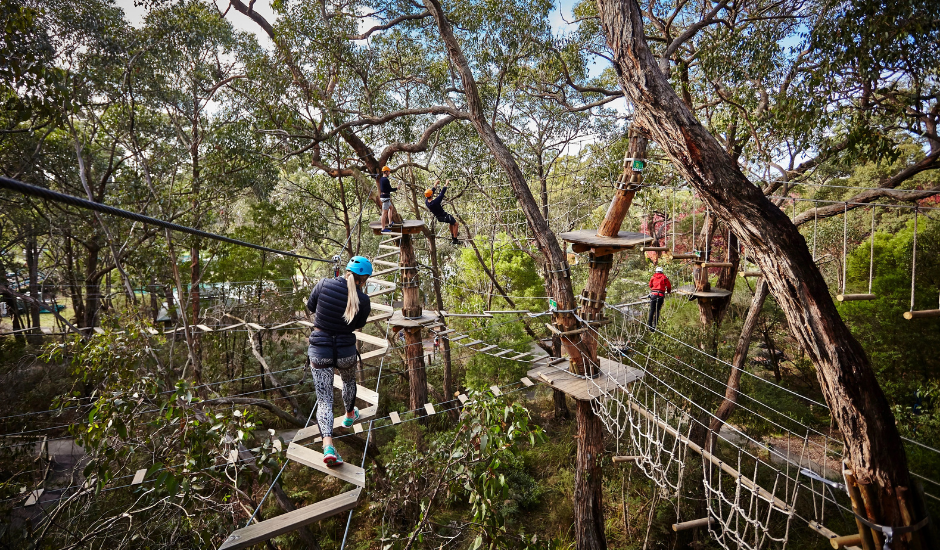 Tree Surfing.. During the school holidays, my family… | by Katie Rees ...