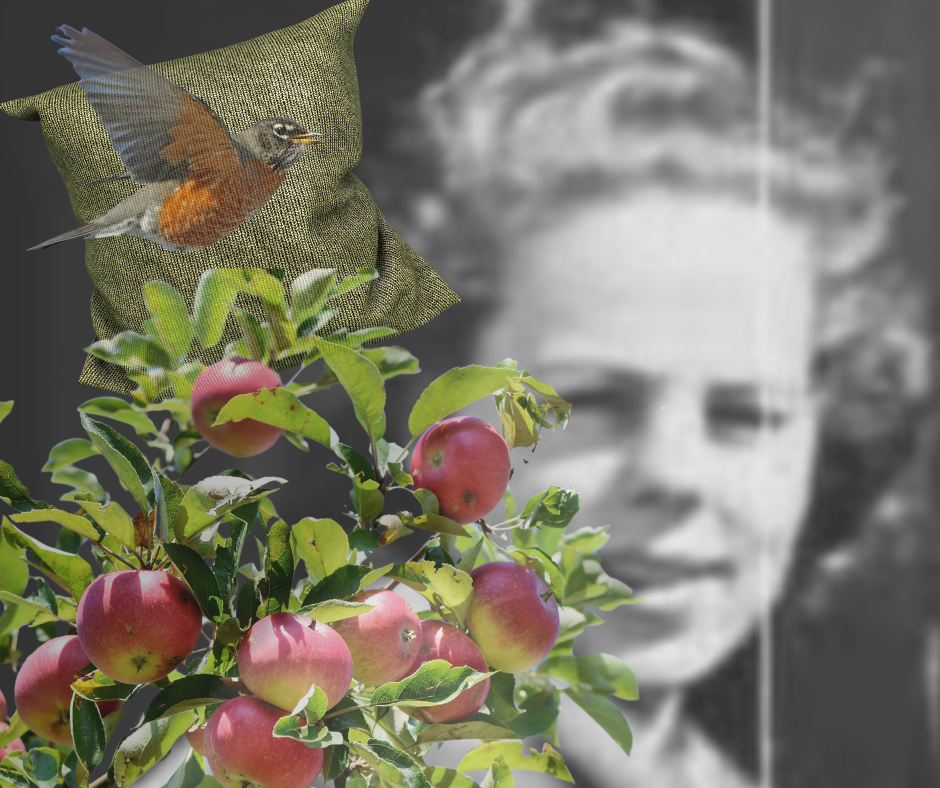 Apples to Ancestors, Pillows to Poop | by Nancy Oglesby | the ...