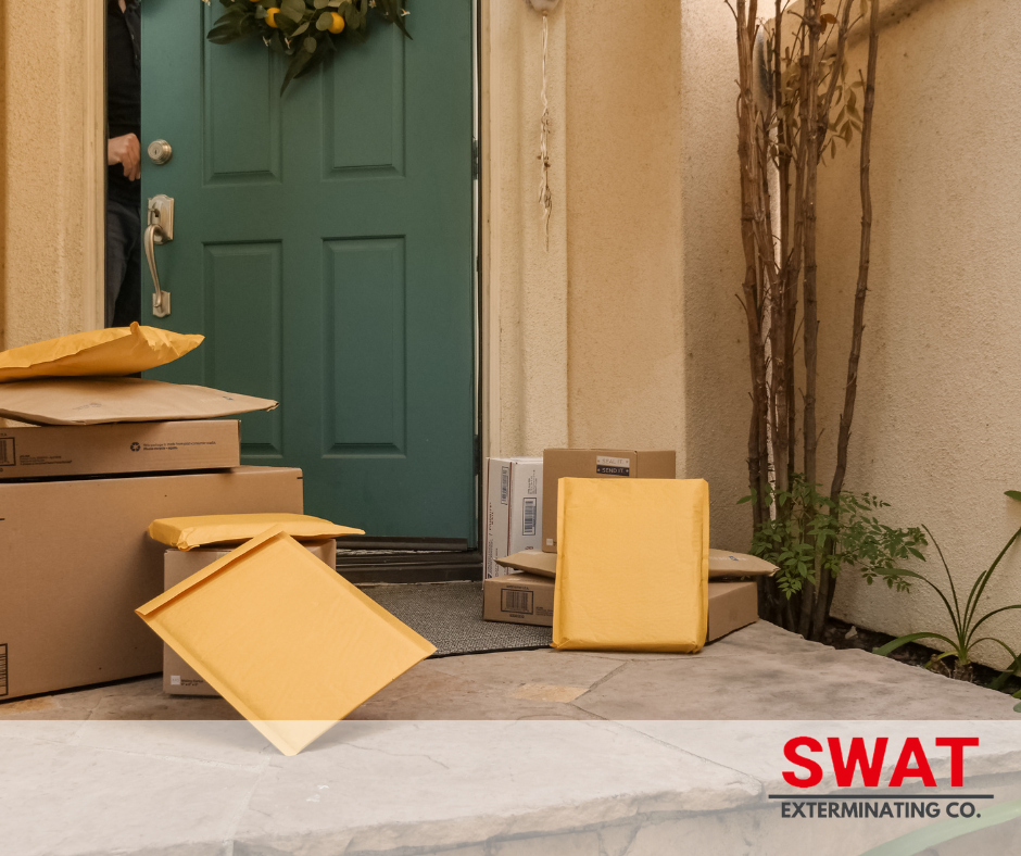 It’s not uncommon for unwanted insects to start appearing in our homes ...
