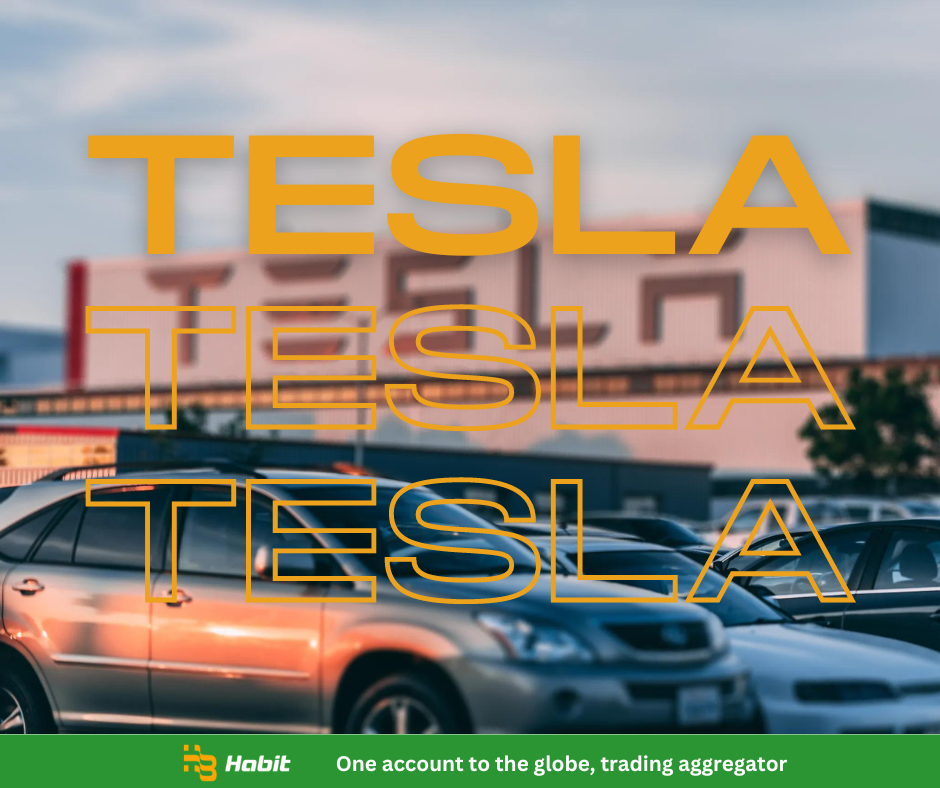 Twitter API Paid how is the fate of Tesla | by Achmad Imannudin | Medium