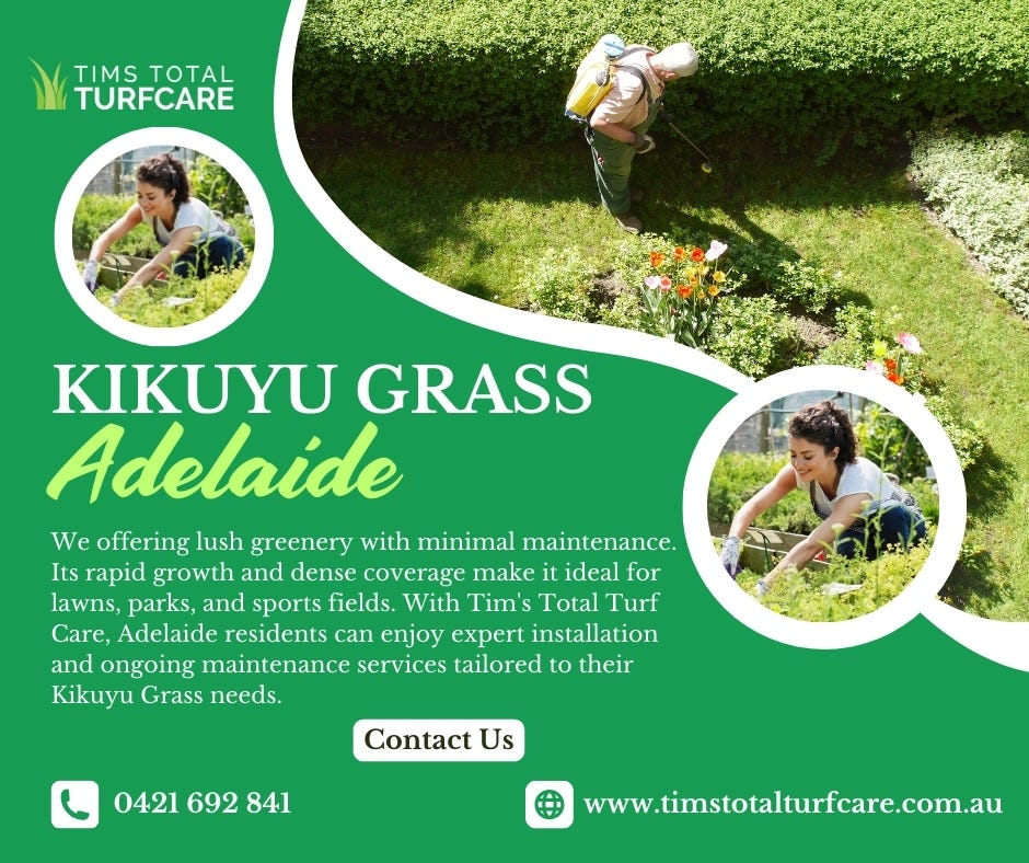 Kikuyu Grass Adelaide - Artificial grass adelaide - Medium
