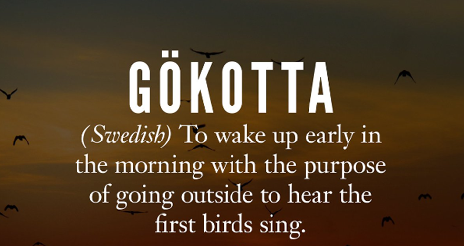 “Gokotta: Embracing the Swedish Philosophy of Morning Serenity” | by ...