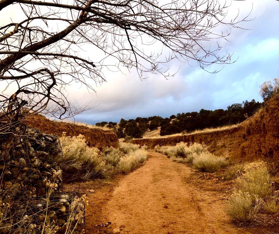 My Life In The Arroyo. It has been a place of wonder, solace… | by ...
