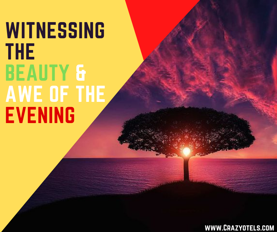 Witnessing the beauty & awe of the evening.. Book now www.crazyotels ...
