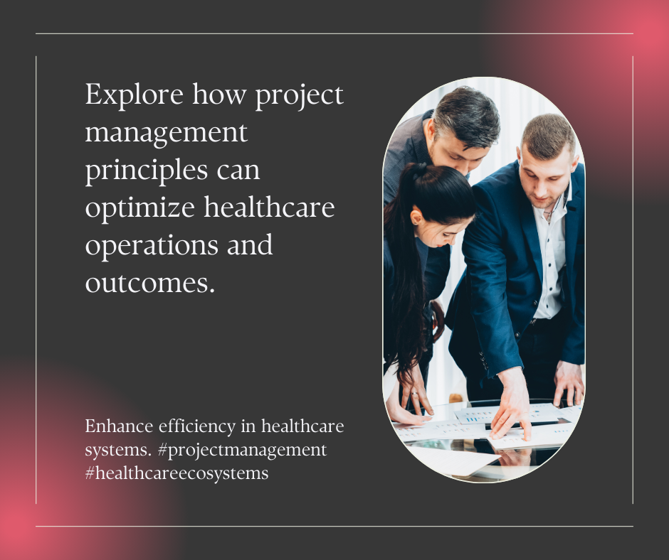 Navigating the Complexities of U.S. Healthcare Ecosystems: A Project ...
