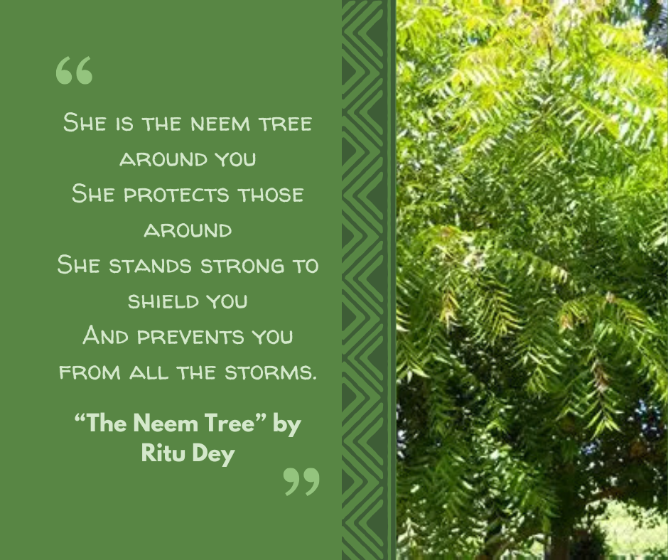 The Secret of the Neem Tree: Between Two Worlds | by S. Hassan | Sep ...