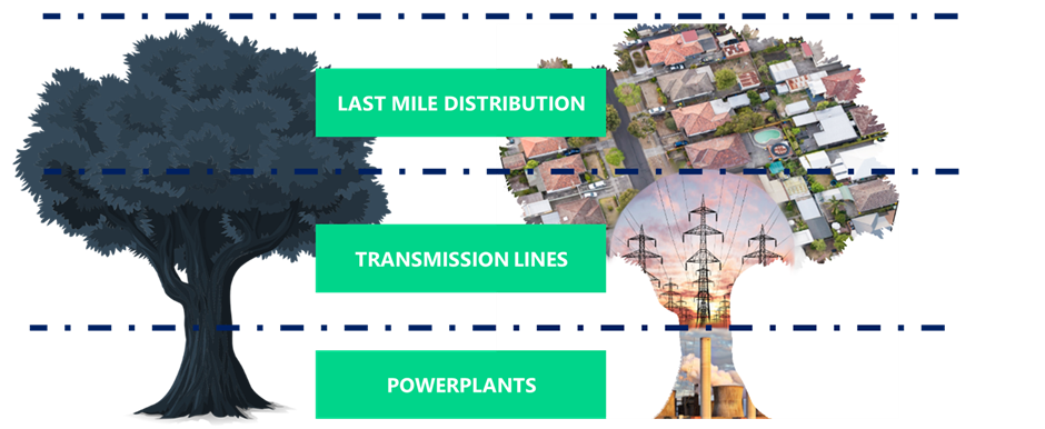Innovating the Electricity Grid: A Transition as Natural as Growing a ...
