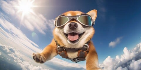 Airdrop Success: How to Claim Badger DAO (BADGER) Tokens on DappRadar ...