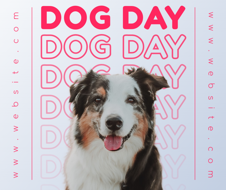 #NationalDogDay: A Day To Show Your Appreciation For Dogs | by Alexis ...