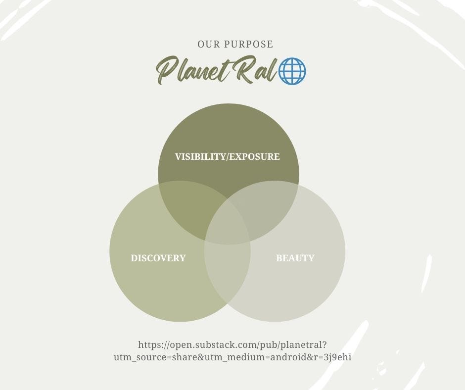 Fully Launching the Purpose of Planet Ral 🌐 | by Ral Joseph | Planet ...