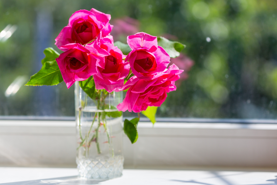 I Wonder Why These Roses Never Die | by Jocelyn Soriano | *The Inspirer ...