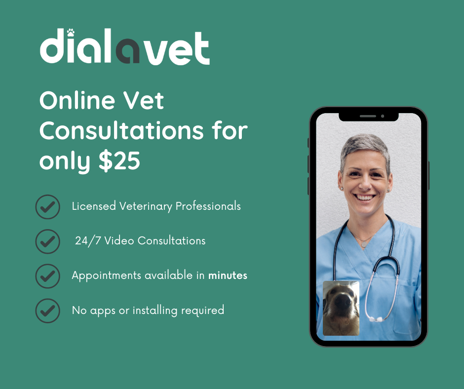 Best Way To Get Affordable Vet Consultations | by Dial A Vet | Sep ...