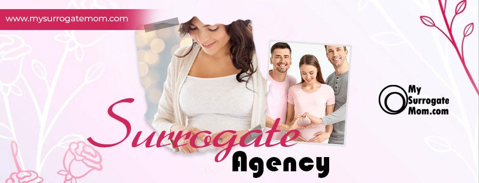 A Guide To Understanding Surrogate Agency And Assisted Reproduct | by ...