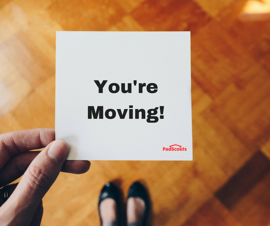 It’s Moving Time! How To Stay Organized During Your Move | by PadScouts ...