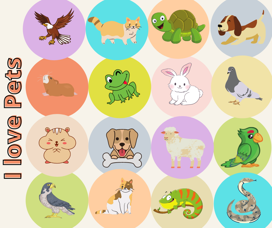 Pet-keeping Care and Products. A pet is an important part of human ...