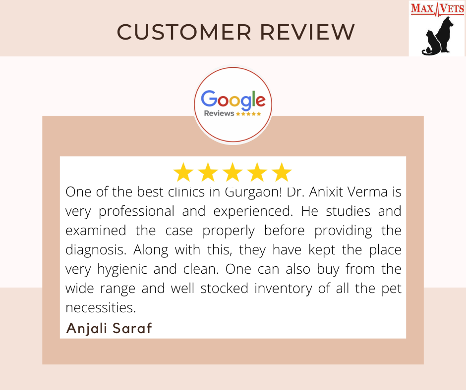 Anjali Saraf reviews Max Vets Animal Hospital and Clinic Sushant Lok ...