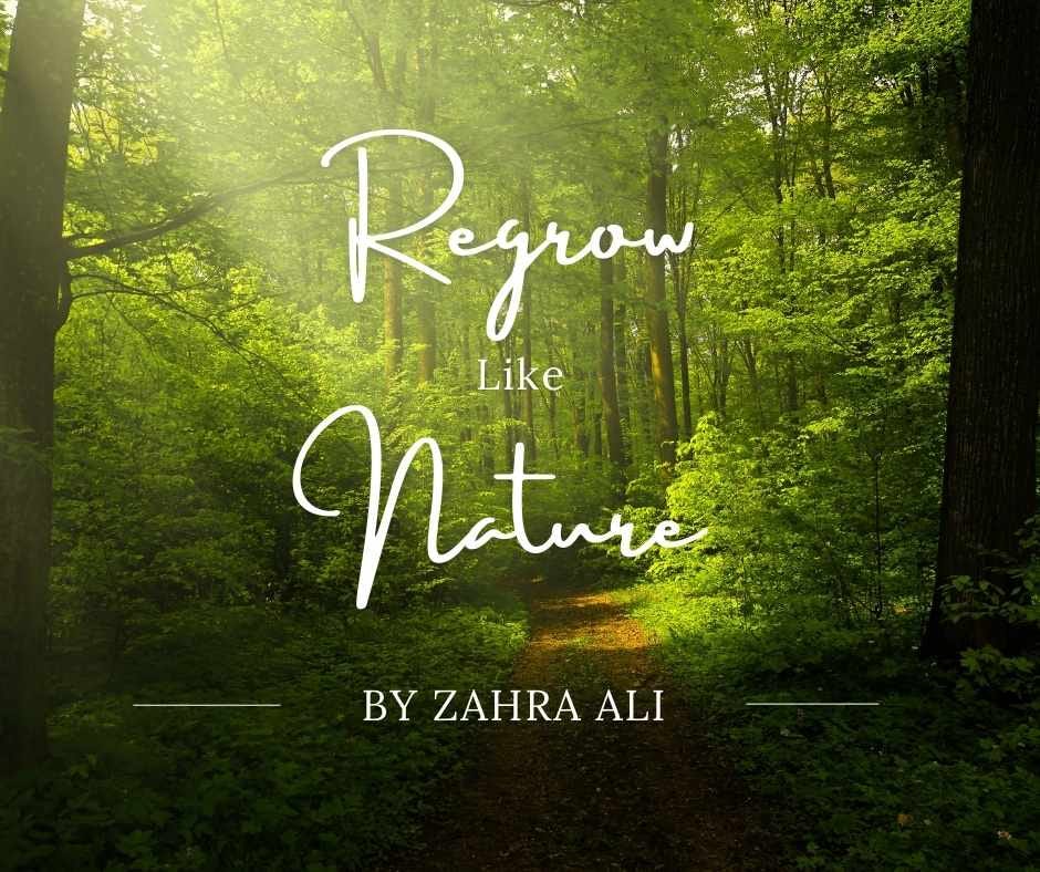 Regrow Like Nature. Nature is regenerative by design, and… | by Zahra ...