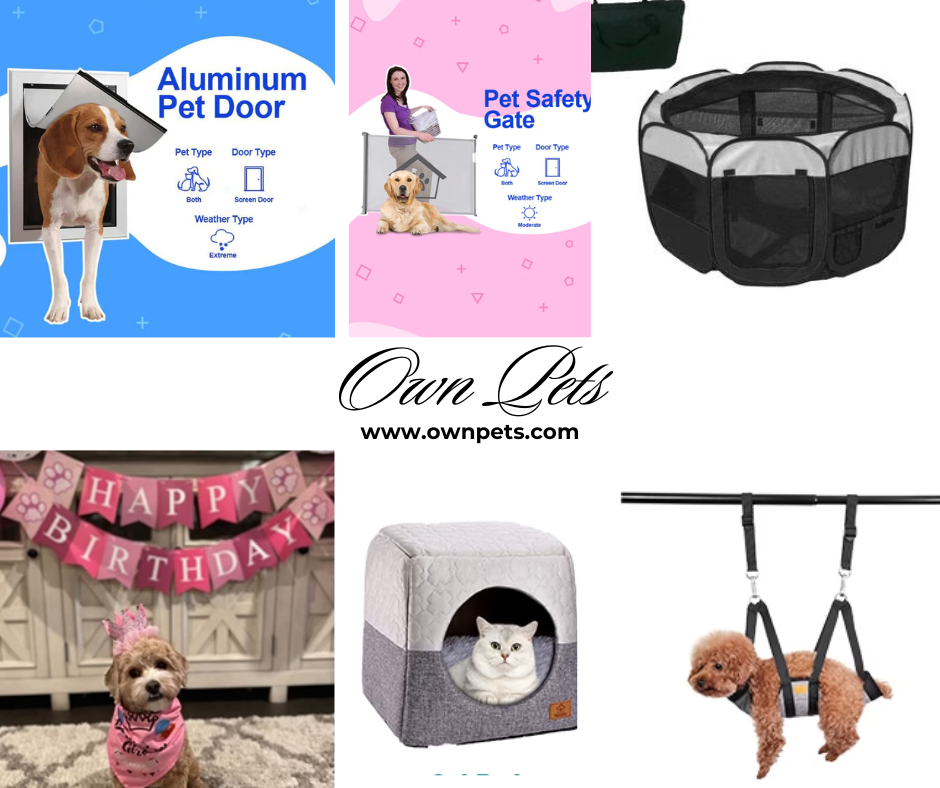 Exploring the Convenience of Small Dog Carrier Backpacks by Own Pets ...