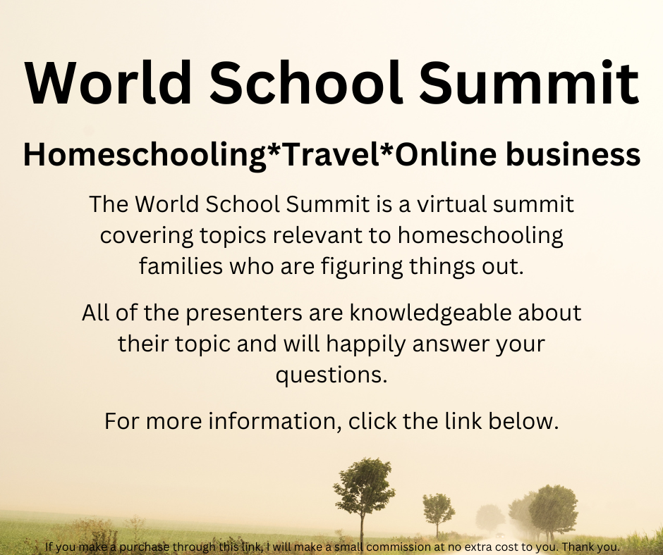 World School Summit 2023 | by Ann Leach | The Motherload