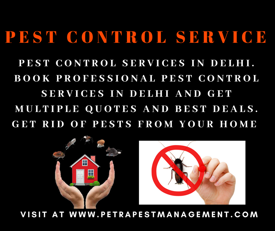 Pest service at affordable prices | by petrapest | Medium