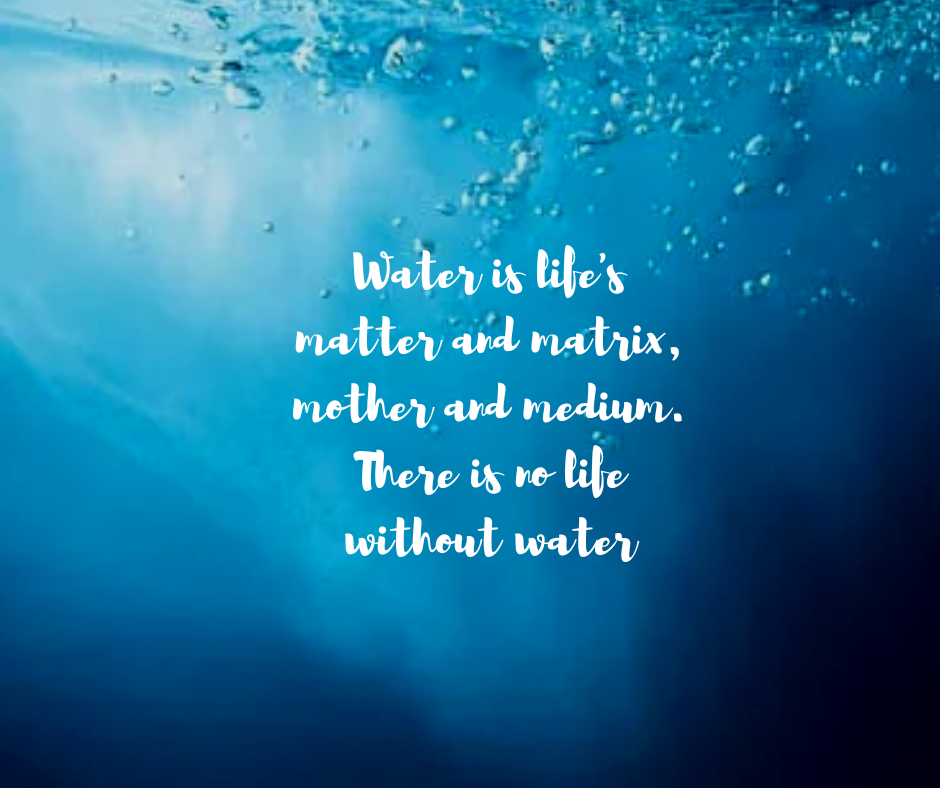 Preserving the Blue Gold: Why Water Matters | by Vishwambhara Gavshinde ...