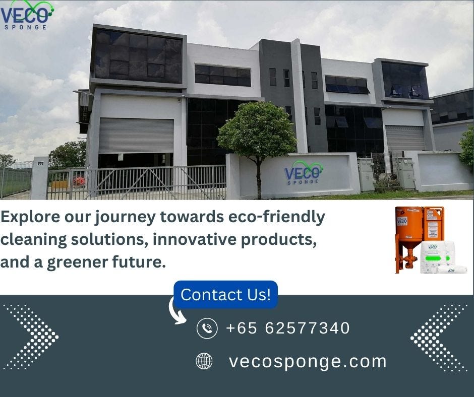 Veco Sponge: Leading the Way in Sustainable Solutions - Veco Sponge - Medium