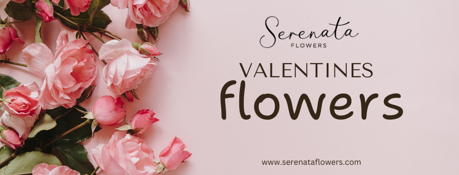 Unveiling the Language of Love: A Guide to Choosing the Perfect Valentine’s Flowers from ...