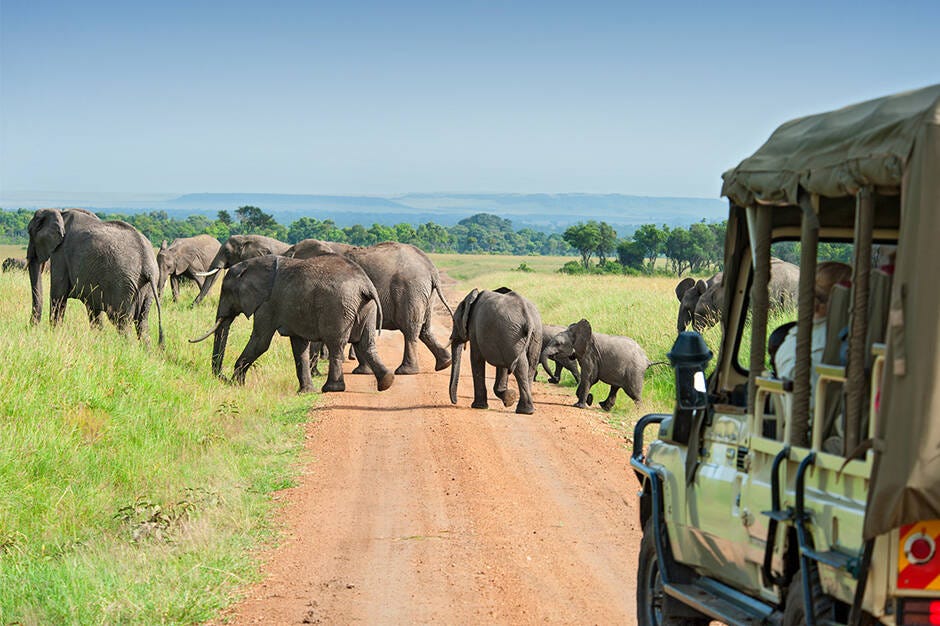 The Most Amazing Tanzania Safari Holidays With Local Experts | by ...