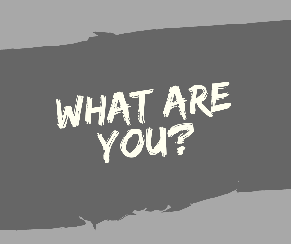 What Are You?. What you are if you’re not who you are… | by Gurdit Kaur ...