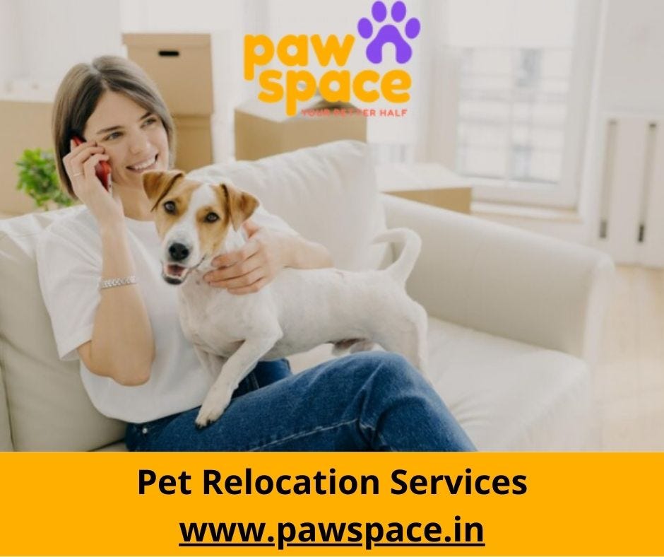 The Complete Guide to Pet Relocation Services for 2022 — Pawspace | by Pawspace Petcare | Medium