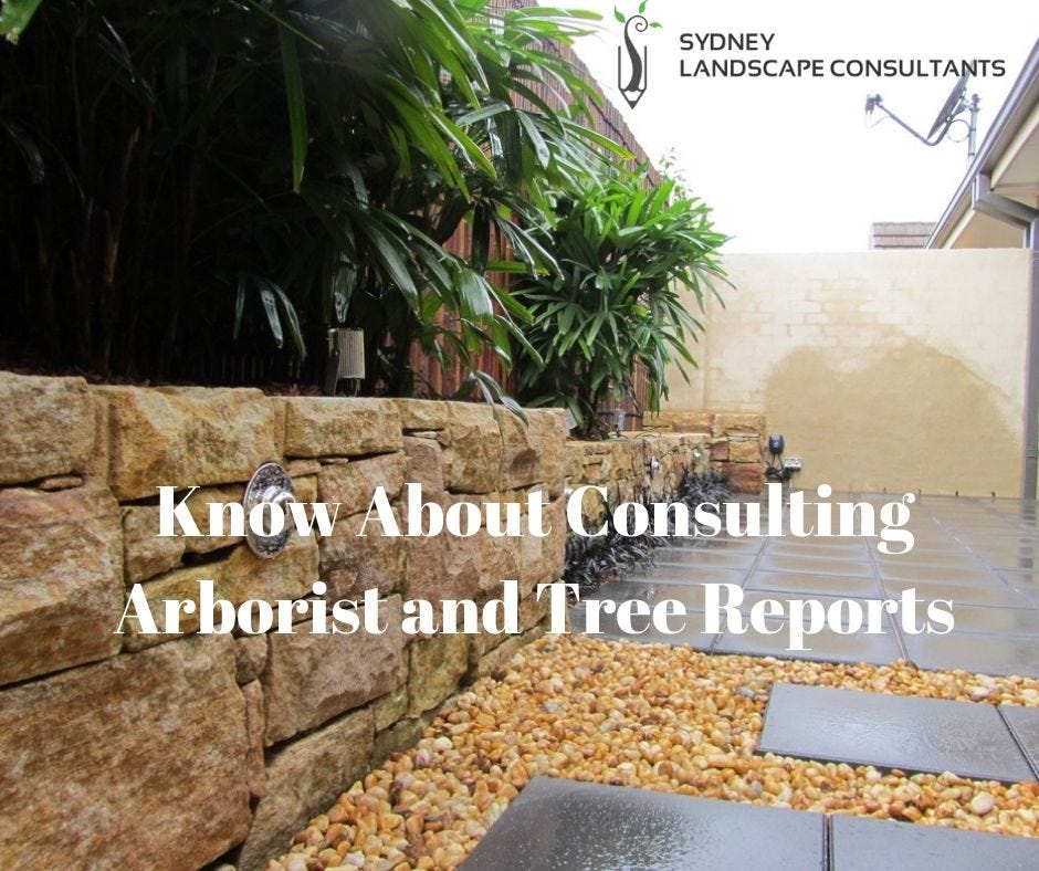 Hire Professional Level 5 Arborist Reports in Sutherland Shire | by ...