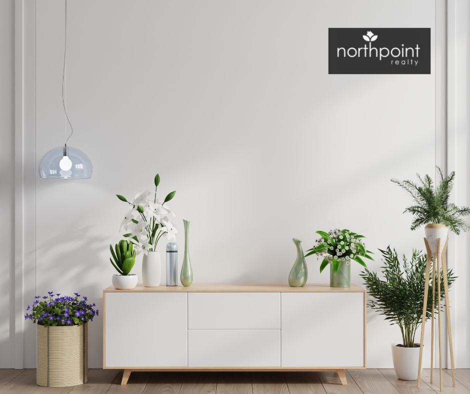 Need a Mood Boost? Get a Plant! - Norma Wall - Medium