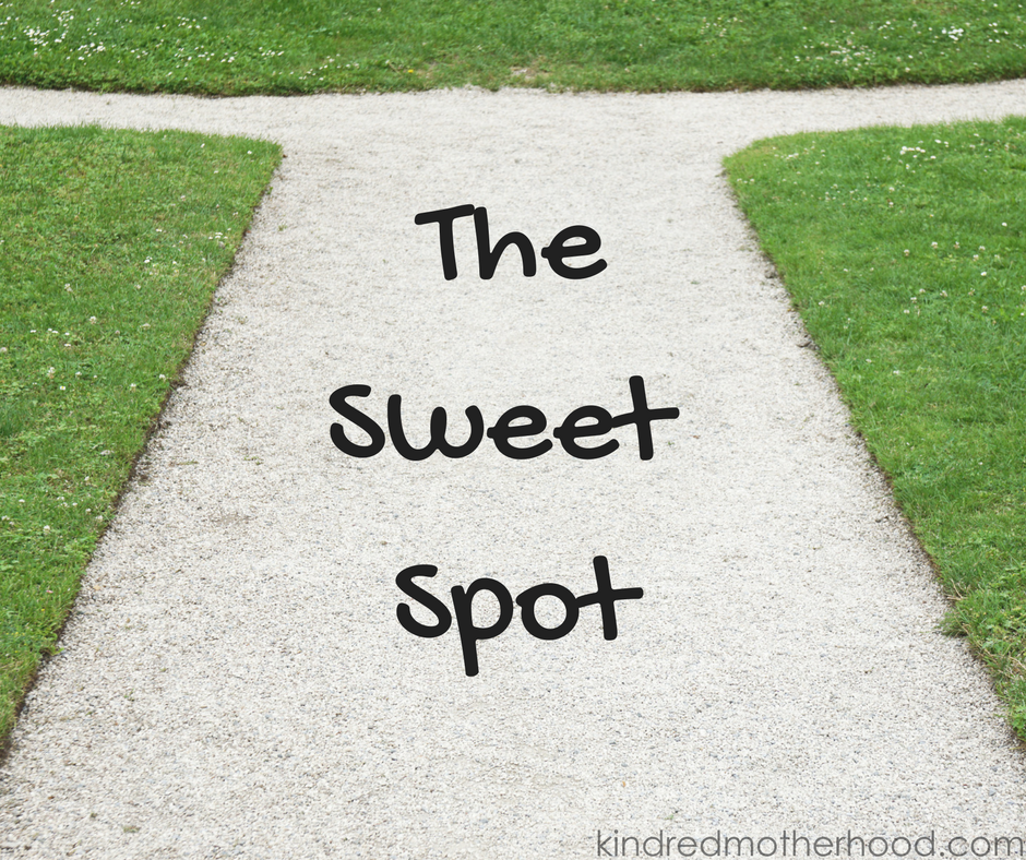 The Sweet Spot. Where’s the sweet spot? | by Xavia Omega | Motherhood ...