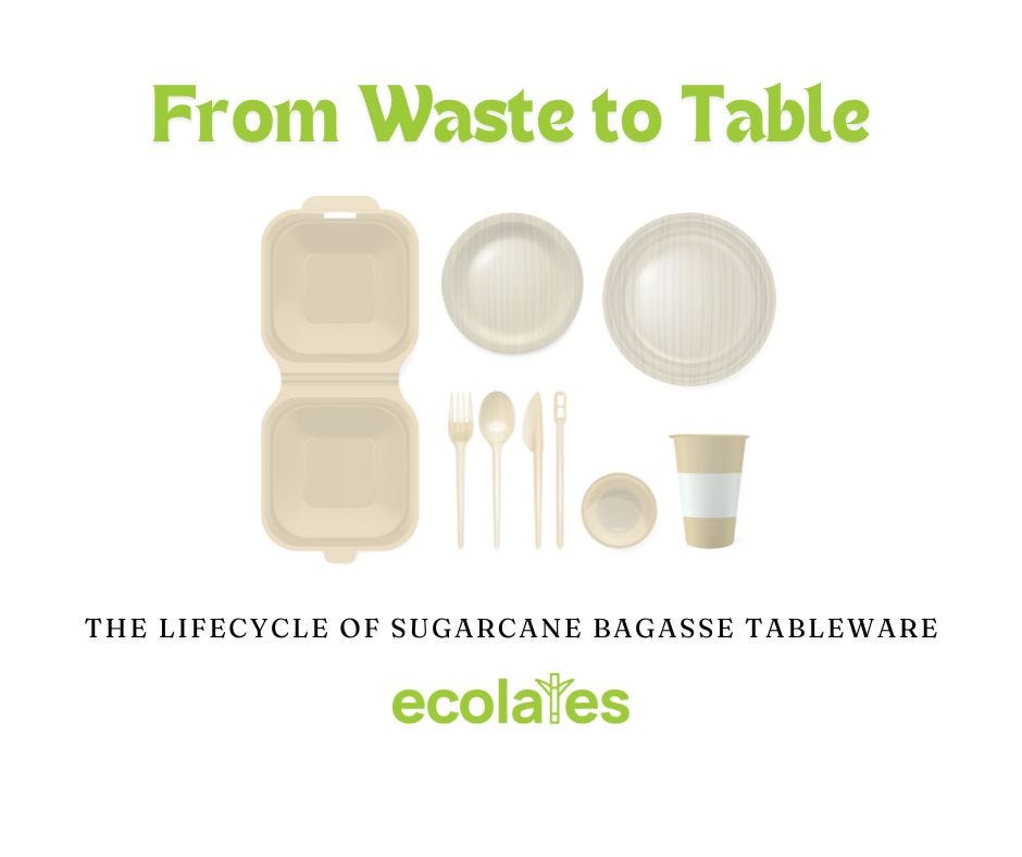 From Waste to Table: The Lifecycle of Sugarcane Bagasse Tableware ...
