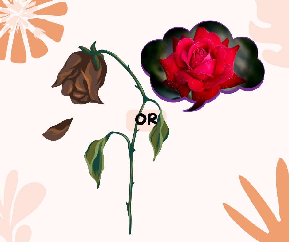 Marriage the Best Way To Stay In Love How To Regrow A Dying Flower of ...