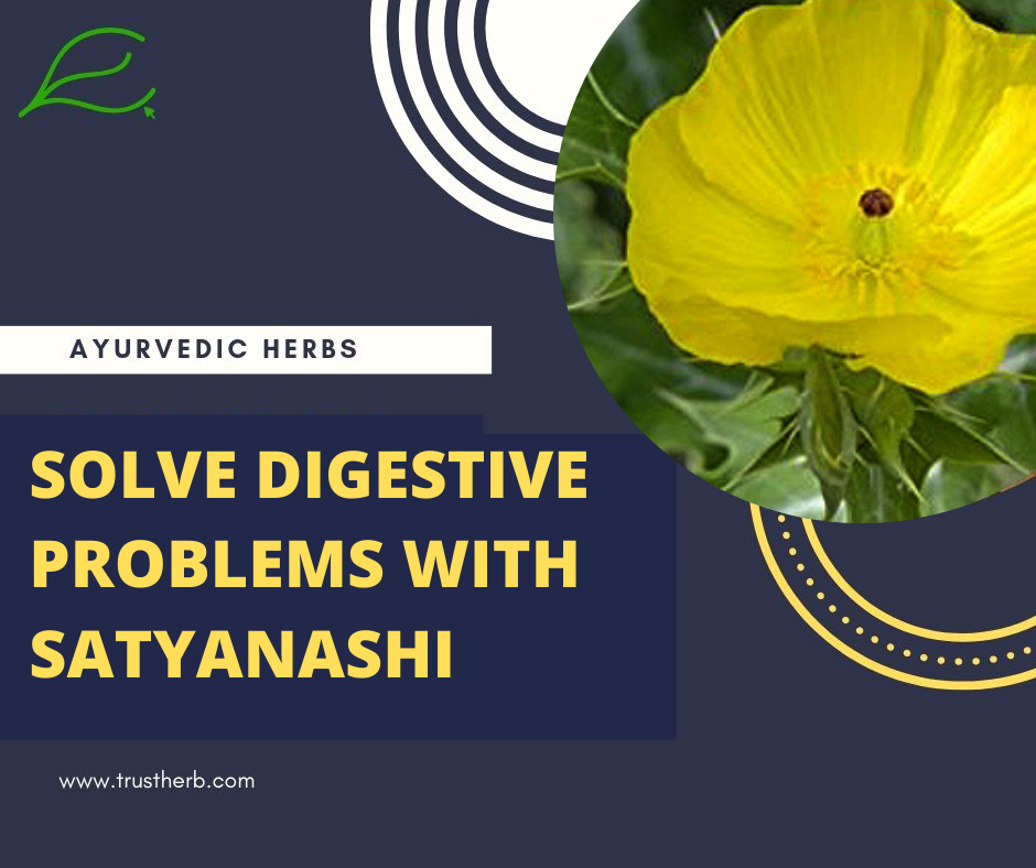 Health Benefits of Satyanashi. Satyanashi is an under-rated herb that ...