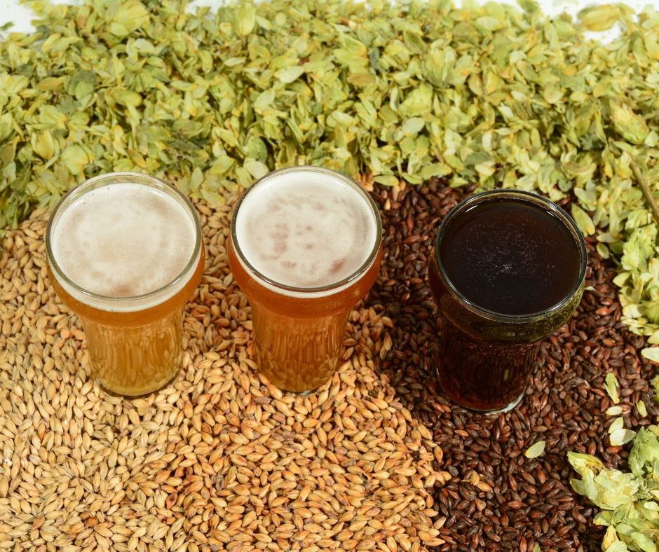 Essential Home Brew Supplies: A Comprehensive Checklist | by ...
