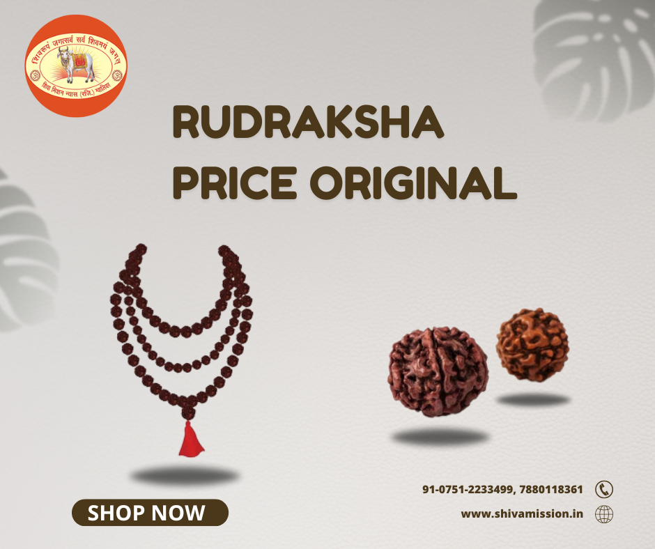 How much Rudraksha Price Original in India ? | by shivamission ...