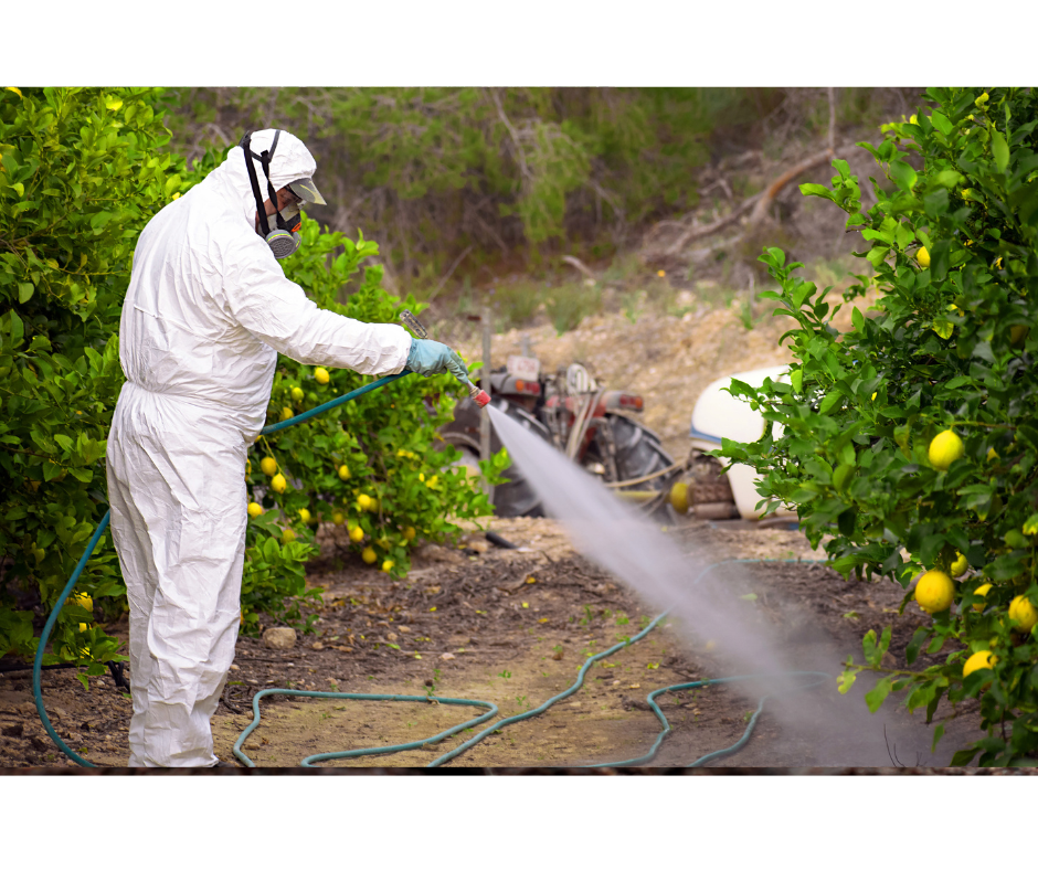 Soils: How Do Pesticides Impact My Garden? | by Asia Scudder | Mar ...