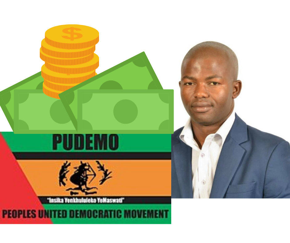 EXPOSED: PUDEMO paying for journalist Zwemart’s legal fees | by Sober ...