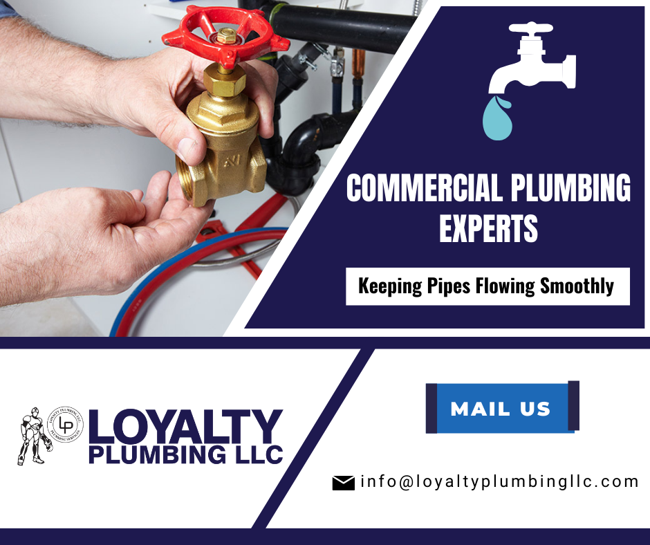 Expert Solutions For Commercial Plumbing - Loyalty Plumbing LLC - Medium